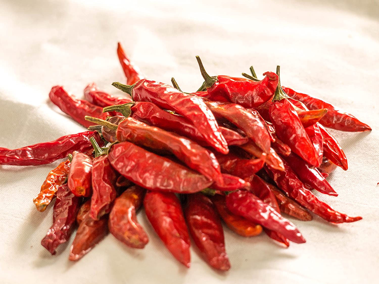 Dry Red Chilli With Stem